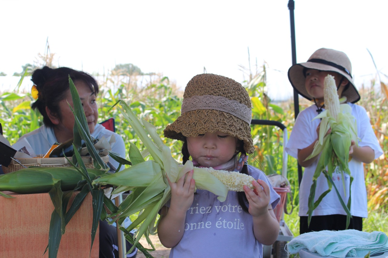 One of the greatest vegetables in this period, “sweet corn”! | farms ...
