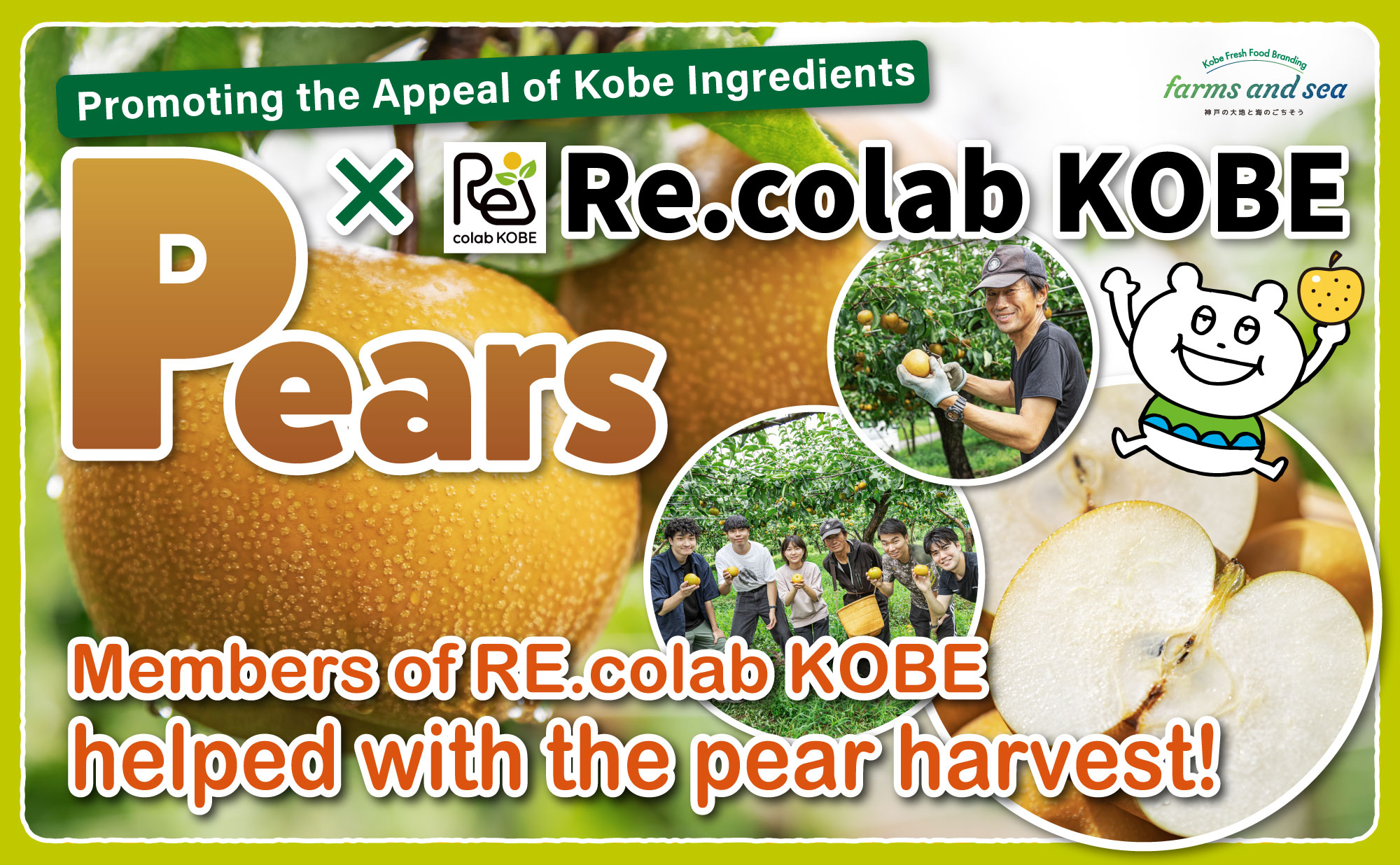 Members of RE.colab KOBE helped with the pear harvest! | farms and sea ...